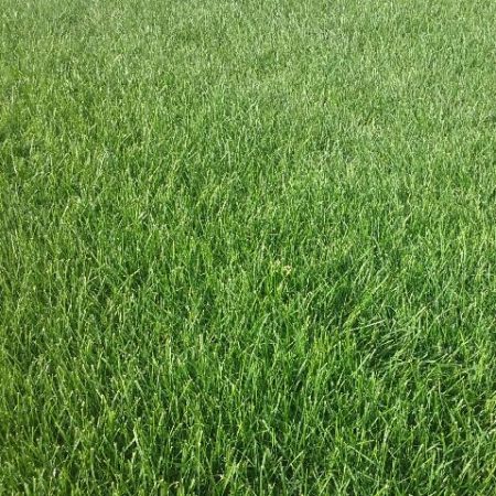 Alaskan Sod, Erosion Control & Landscaping