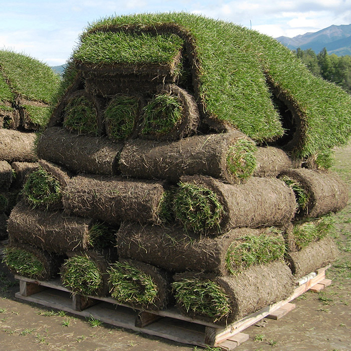 sod small roll pallet | Country Garden Farms